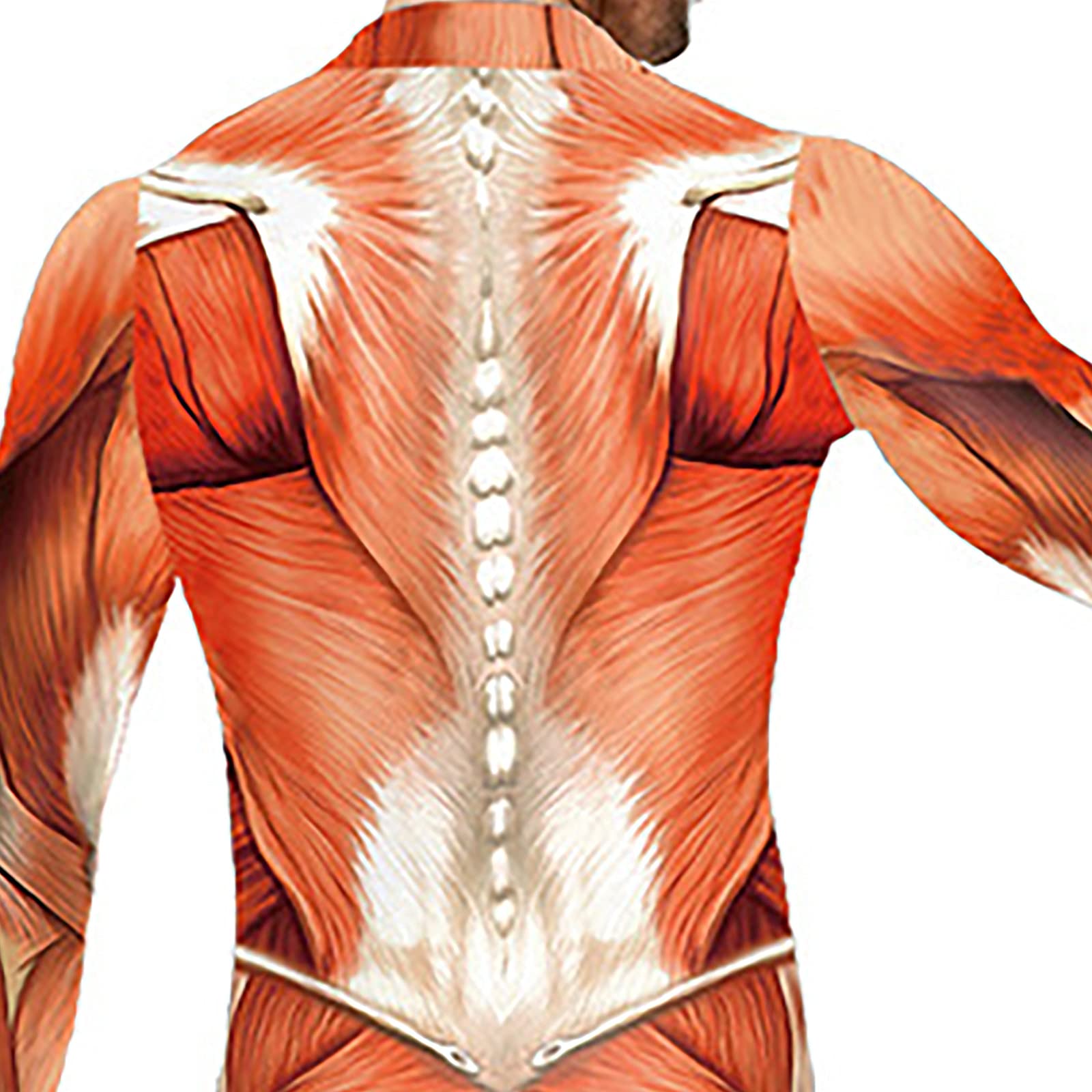 JOAU Men's muscle Body Suit Tight Halloween 3D Digital Printing Adult One-piece Halloween Party