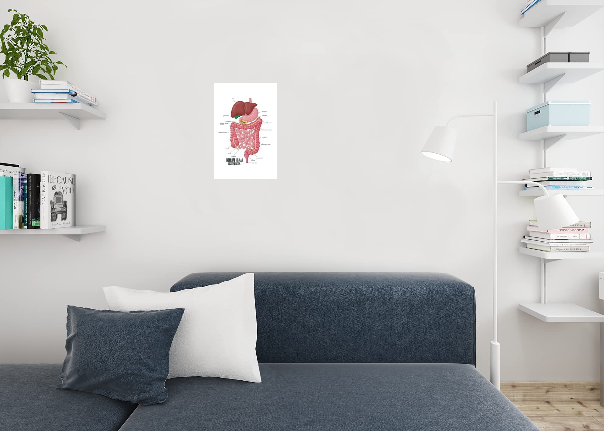 Internal Human Digestive System Illustration Human Anatomy Educational Chart Cool Wall Art Print Poster 12x18