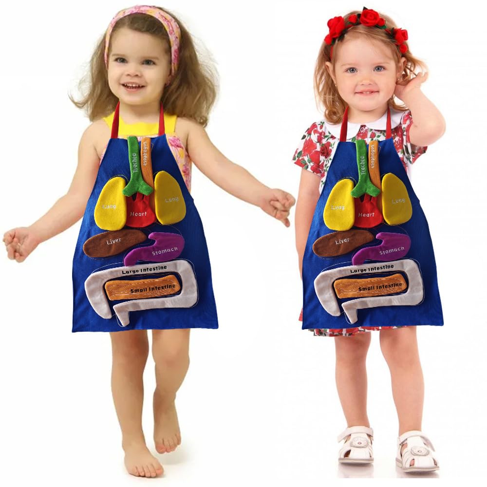 PRIMUZ 3D Organ Apron For Home Preschool Teaching Aid,Human Body Removabl Organs Apron ,Vital Organ Apron That Helps Children Understand The Internal Structure Of The Bod