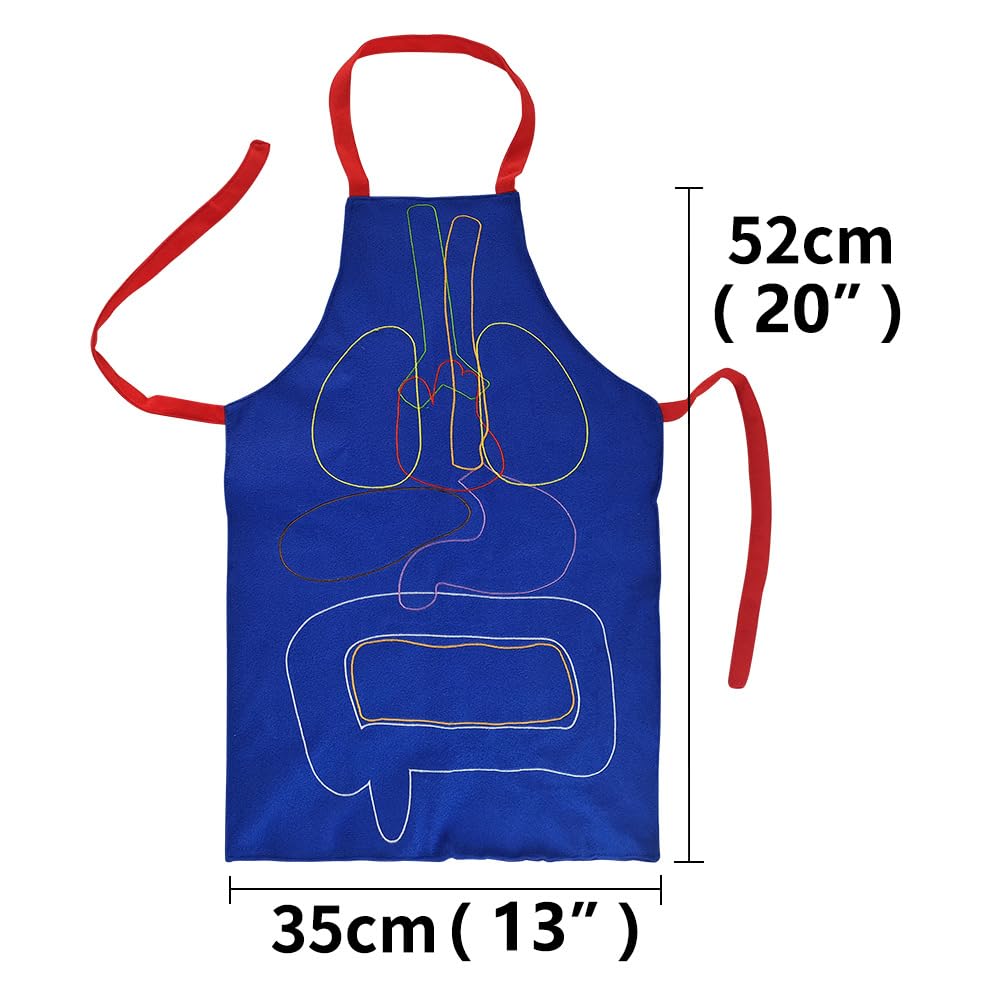PRIMUZ 3D Organ Apron For Home Preschool Teaching Aid,Human Body Removabl Organs Apron ,Vital Organ Apron That Helps Children Understand The Internal Structure Of The Bod