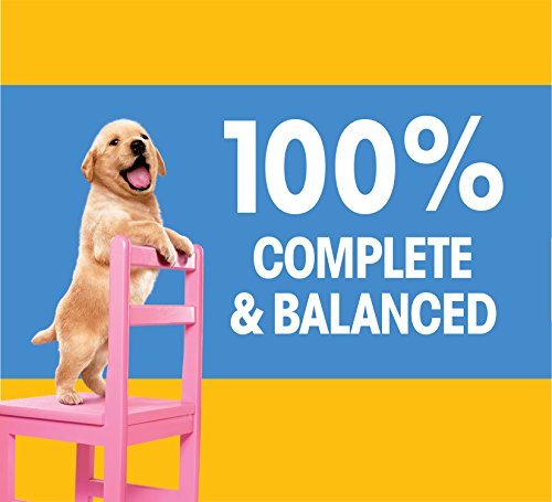 Pedigree Puppy Growth & Protection Dry Dog Food Chicken & Vegetable Flavor, 7 Lb. Bag