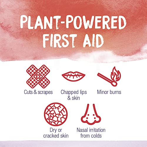 Boiron Calendula Ointment for Relief from Minor Burns, Cuts, Scrapes, and Insect Bites - 3 oz (3 Pack of 1 oz)