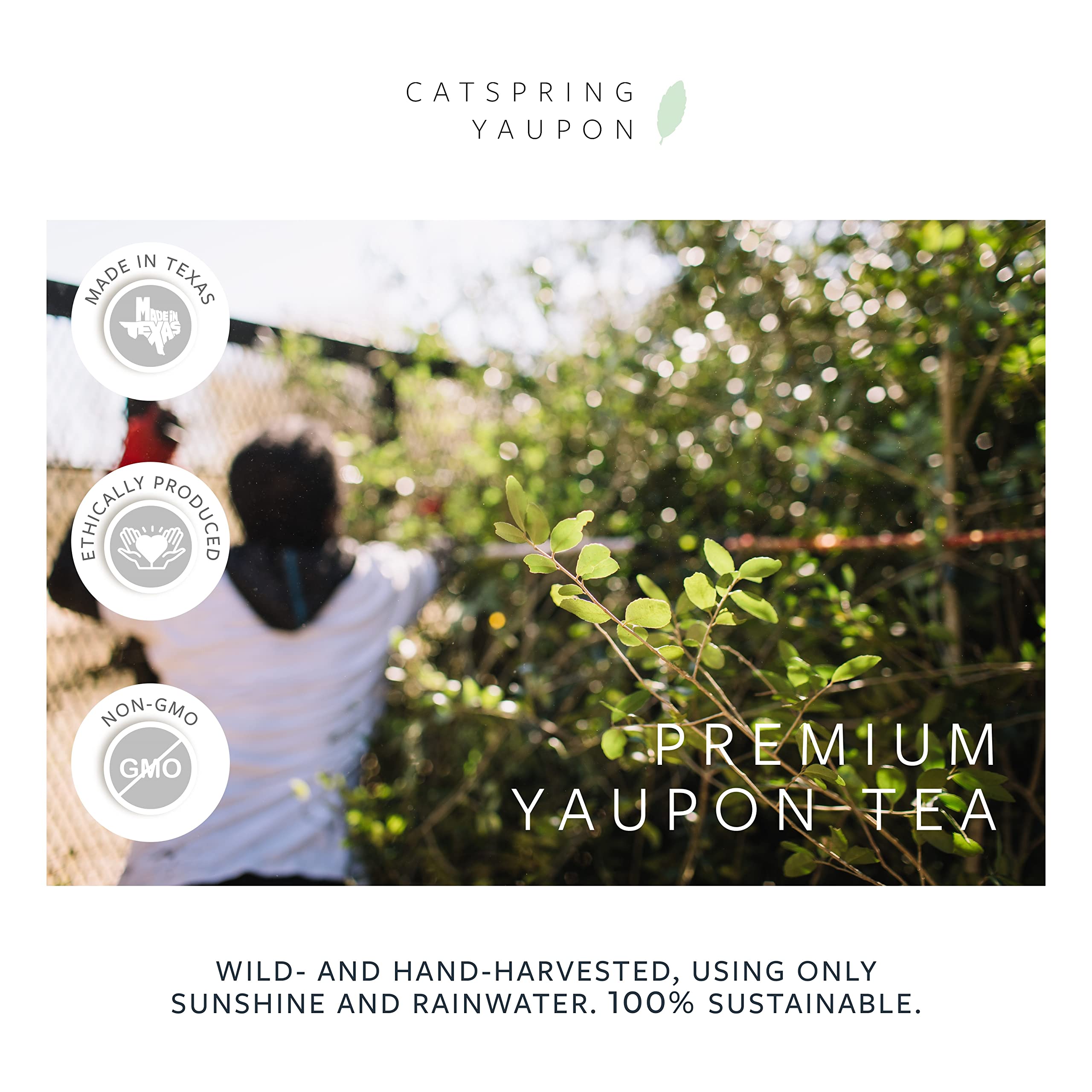 CatSpring Yaupon Marfa Dark Roast Black Yaupon Tea, Naturally Caffeinated and Sustainable Texas Tea, Individually Packed Herbal Teabags, 16 Bags per Tea Box