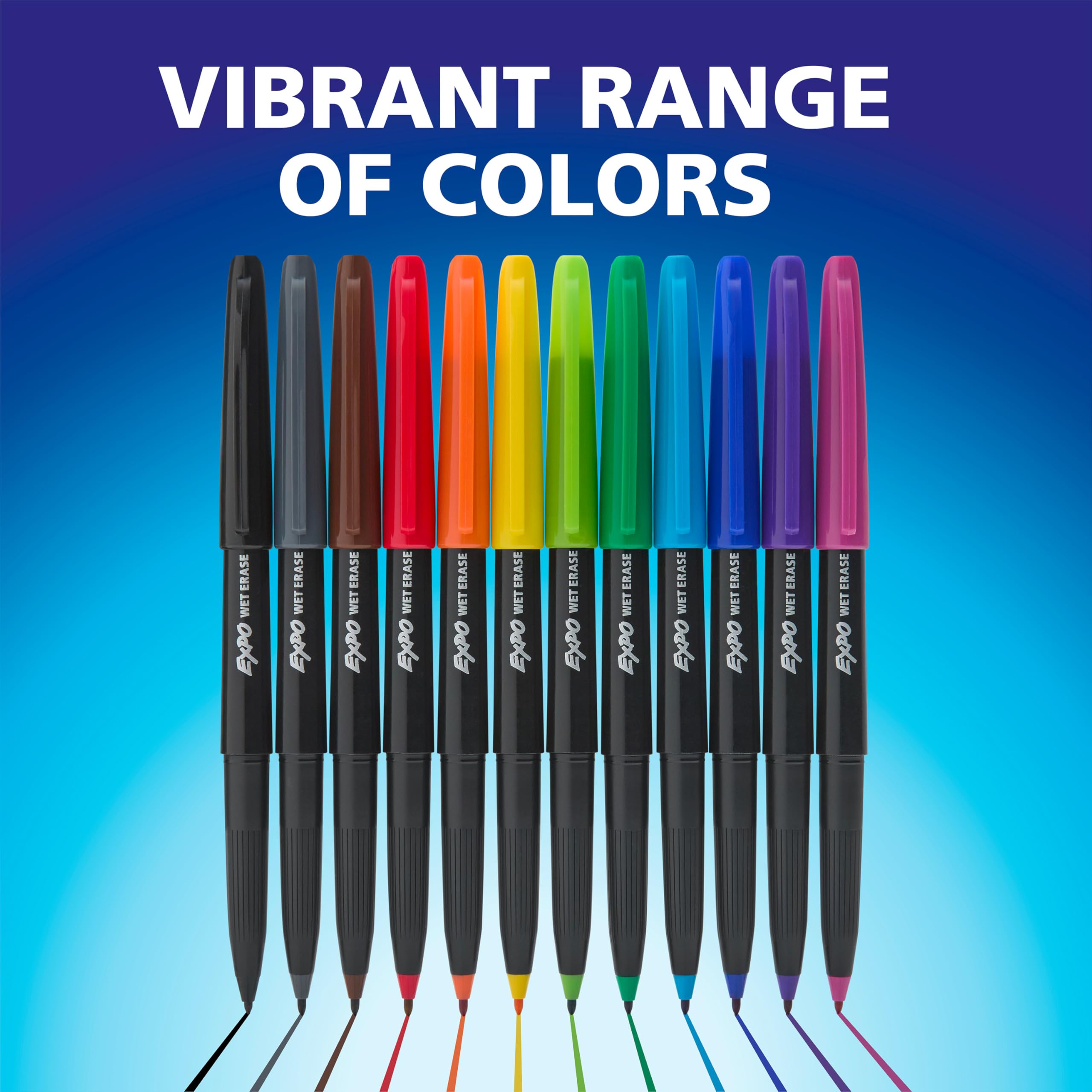 EXPO Vis-a-Vis Wet Erase Markers, Fine Point, Black, 12 Count