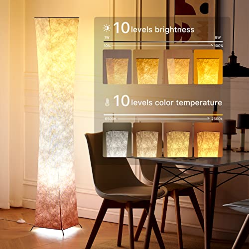chiphy Floor Lamp, 64" Tall Lamp with Remote Control, Dimmable 10 Levels Color Temperature 12W/2 LED Bulbs (2400 Lumens, 100 Watt Equivalent) and Red Lampshade, Unique for Living Room