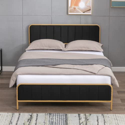BALUS Cal King Size Bed Frame, Metal Platform Bed Frame with Tufted Headboard, Velvet Upholstered Platform Bed Frame with Gold Trim, Easy Assembly, No Box Spring Needed and Slip Noise Free Black