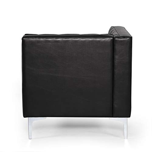 Christopher Knight Home Tignall Chaise Lounge, Midnight Black + Silver