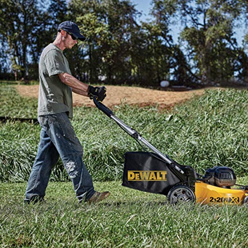 DEWALT DPG94-1D Dominator SAFETY Glasses, Clear Lens