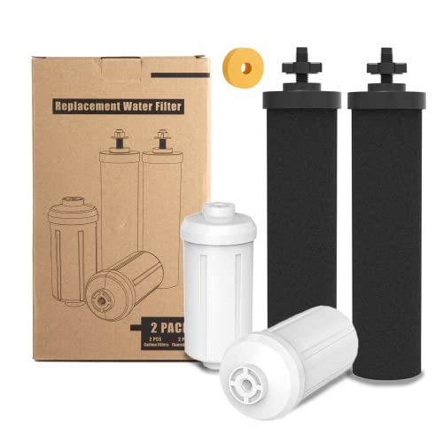 Water Filter Replacement for Berkey Water Filter, 2 Activated Carbon Filters and 2 Fluoride Filters Compatible with Purifiers Berkey Gravity Water Filter System, Pack of 4