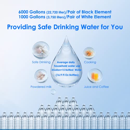 Water Filter Replacement for Berkey Water Filter, 2 Activated Carbon Filters and 2 Fluoride Filters Compatible with Purifiers Berkey Gravity Water Filter System, Pack of 4