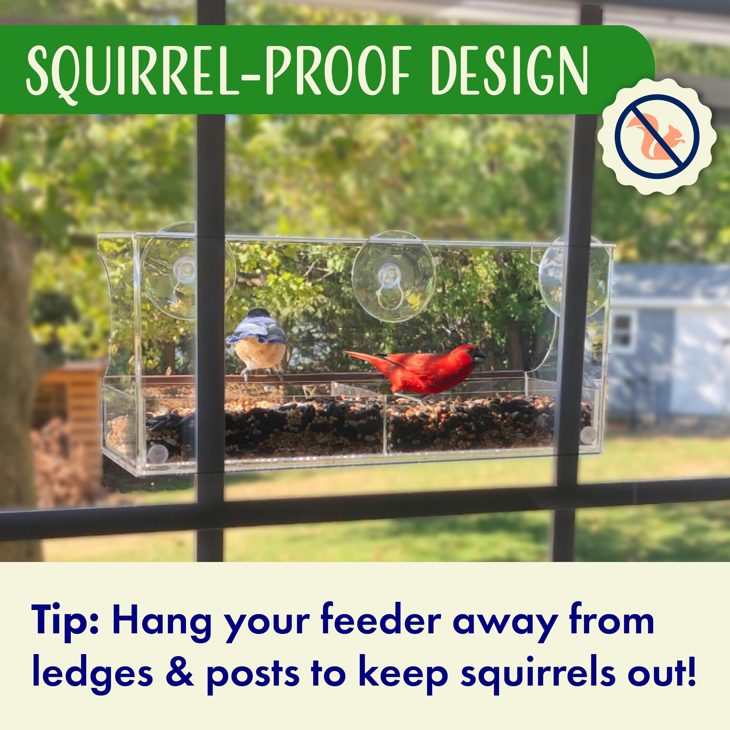 Window Bird Feeders with Strong Suction Cups, Clear Window Bird Feeder for Outside - Transparent Bird House, Balcony Glass Mount, Acrylic Cat, Kids & Elderly Viewing Clear Bird Feeder for Window Perch