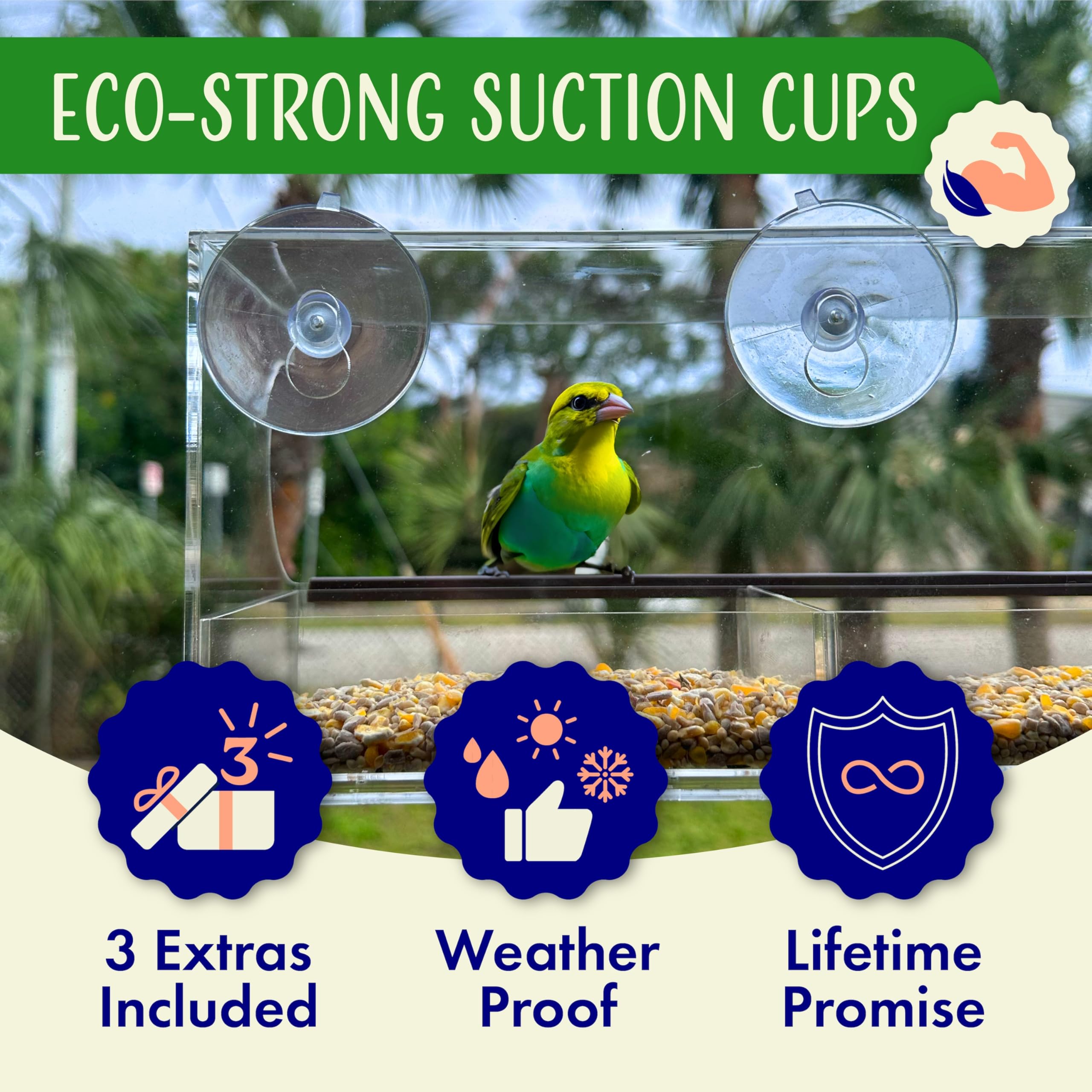 Window Bird Feeders with Strong Suction Cups, Clear Window Bird Feeder for Outside - Transparent Bird House, Balcony Glass Mount, Acrylic Cat, Kids & Elderly Viewing Clear Bird Feeder for Window Perch