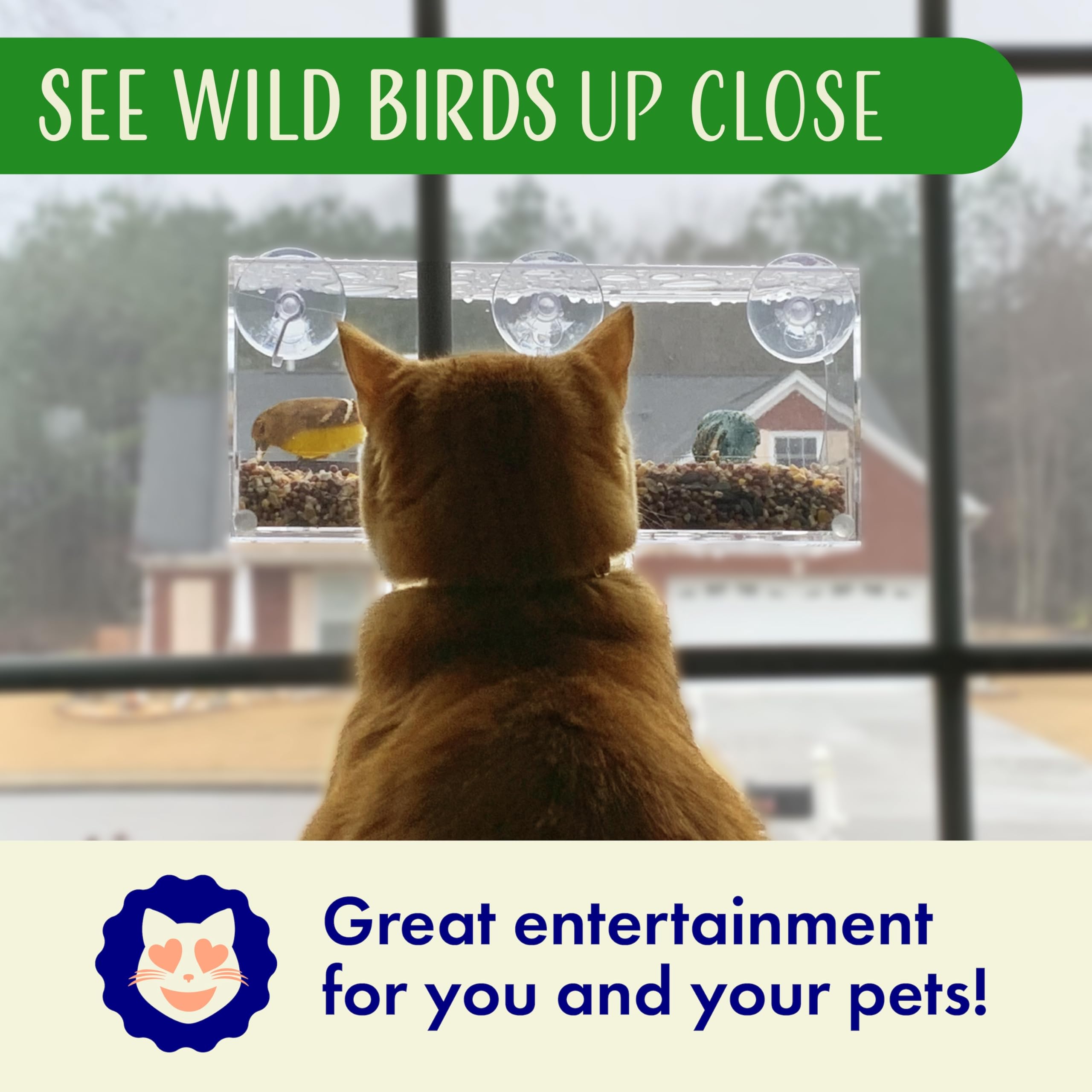 Window Bird Feeders with Strong Suction Cups, Clear Window Bird Feeder for Outside - Transparent Bird House, Balcony Glass Mount, Acrylic Cat, Kids & Elderly Viewing Clear Bird Feeder for Window Perch