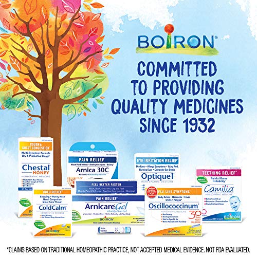 Boiron Hypericum Perforatum 30C Homeopathic Medicine for Relief from Nerve Pain, Toothaches, Pain in Legs or Back, and Shooting Pains - 3 Count (240 Pellets)
