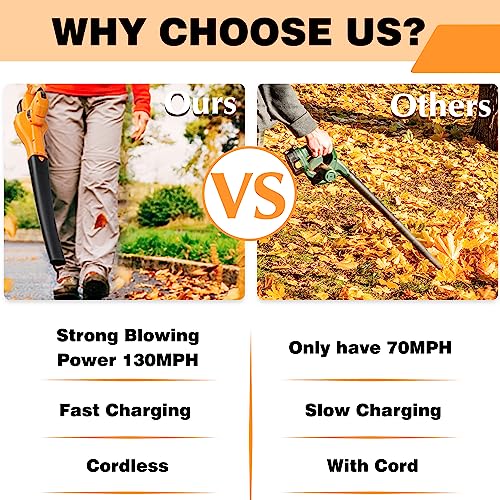 Cordless Leaf Blower - 20V Leaf Blower Cordless with 2 Batteries & Charger, Lightweight Portable Blower for Cleaning Leaf, Dust, Debris, Patio, Car, Porch (Included Goggles and Gloves)