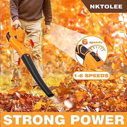 Cordless Leaf Blower - 20V Leaf Blower Cordless with 2 Batteries & Charger, Lightweight Portable Blower for Cleaning Leaf, Dust, Debris, Patio, Car, Porch (Included Goggles and Gloves)