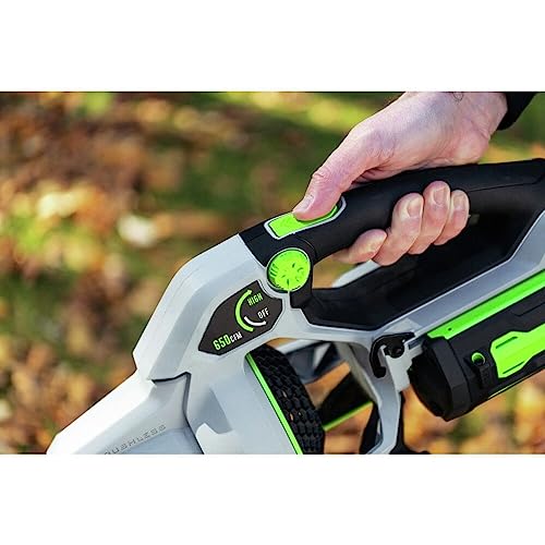 EGO Power+ LB6503 650CFM 56-Volt Lithium-ion Cordless Handheld Blower with 4.0Ah Battery and Charger Included, Black