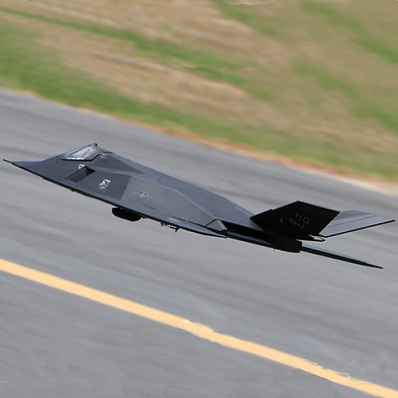 Sky Flight Hobby/Lanxiang/LX 70mm EDF Jets F117 Nighthawk PNP/ARF RC Flighter Plane