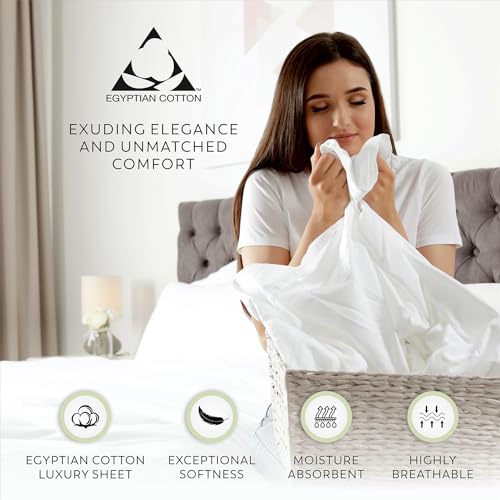 100% Egyptian Cotton Queen Sheet Set - 1000 Thread Count Soft Silver Queen Size Bed - Luxury Sateen Weave Deep Pocket Sheets - Breathable - Soft & Silky - Egyptian Cotton Sheets (Queen, Soft Silver)