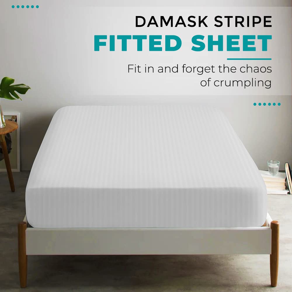 Feather & Stitch 100% Cotton 1 Piece Damask Stripe Queen Fitted Sheet 500 Thread Count White- Sateen Weave with 2 Extra Pillow Cases