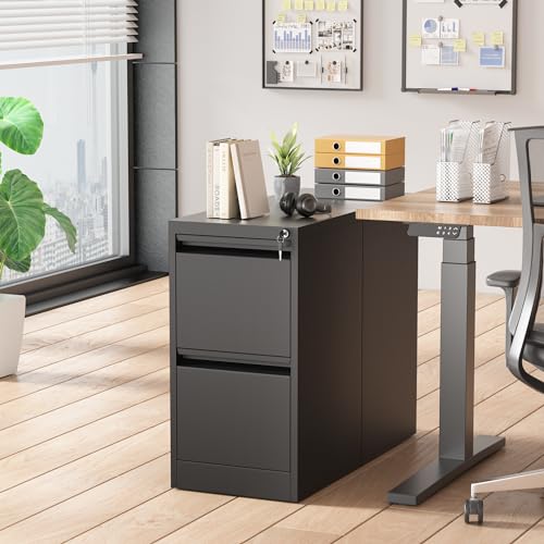 Superday 2 Drawer Vertical File Cabinet, 18” D Filing Cabinet with Lock, Locking Filing Cabinet for Home Office, Black Metal File Cabinet for Hanging Letter/Legal Folders