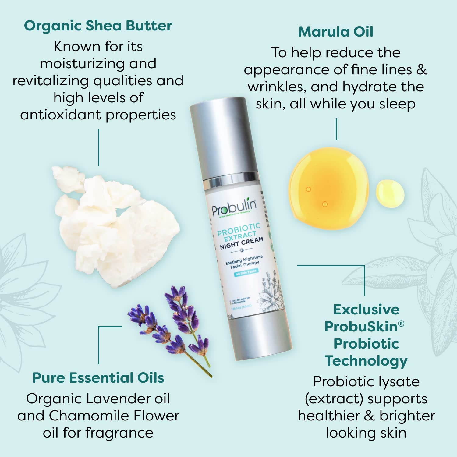 Probulin Probiotic Extract Night Cream, 1.69 Ounce