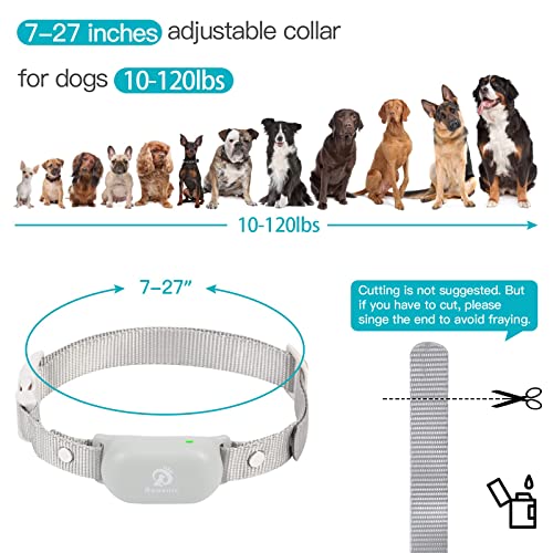 Bousnic Dog Shock Collar with Remote - for Dog 10-120lbs 1000ft Waterproof Rechargeable e Dog Training Collar for Small Medium Large Breed Dog with Beep/Vibrate/Safe Shock & Indicator Light