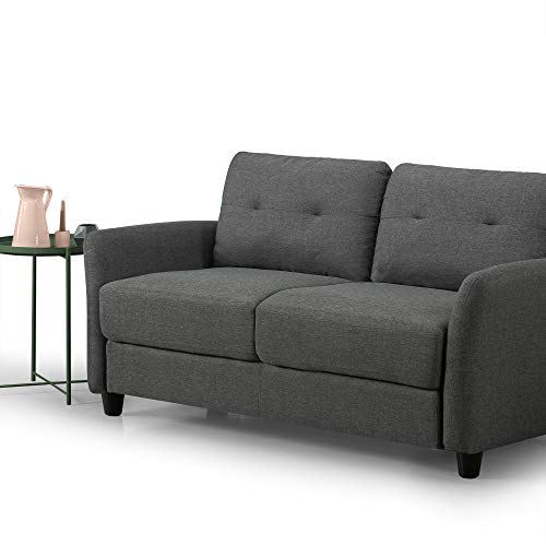 ZINUS Ricardo Loveseat Sofa / Tufted Cushions / Easy, Tool-Free Assembly, Dark Grey