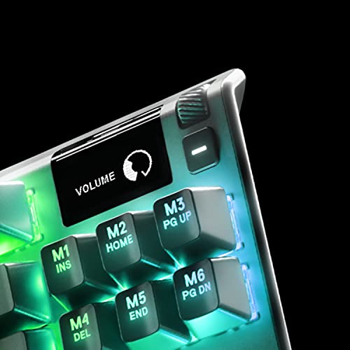 SteelSeries Apex Pro TKL Mechanical Gaming Keyboard, Adjustable Actuation Switches, OLED Smart Display, German QWERTZ Layout