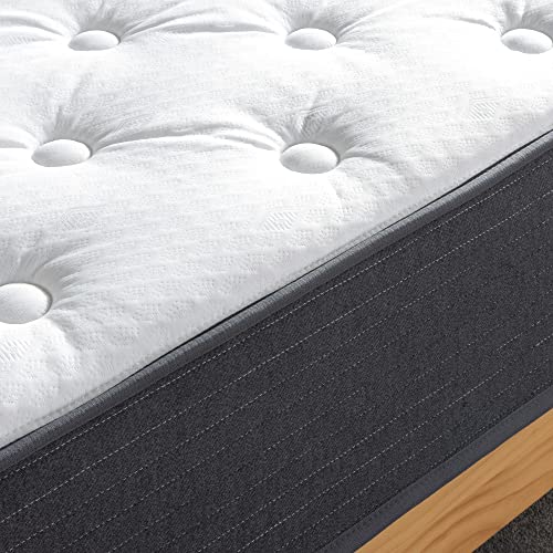 Zinus 10 Inch Comfort Essential Pocket Spring Hybrid Mattress/Pressure Relieving Support/CertiPUR-US Certified/Mattress-in-a-Box, Twin