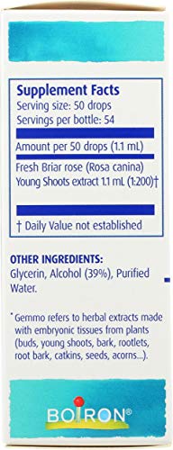 BOIRON USA - Briar Rose/Rosa Canina 2oz [Health and Beauty]