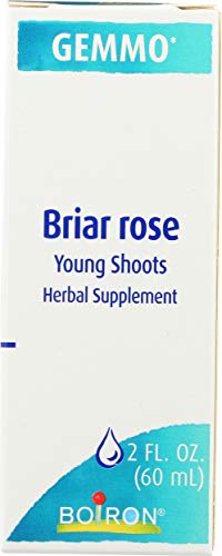 BOIRON USA - Briar Rose/Rosa Canina 2oz [Health and Beauty]