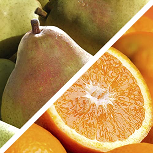Golden State Fruit Golden State Signature Fruit Gift Collection