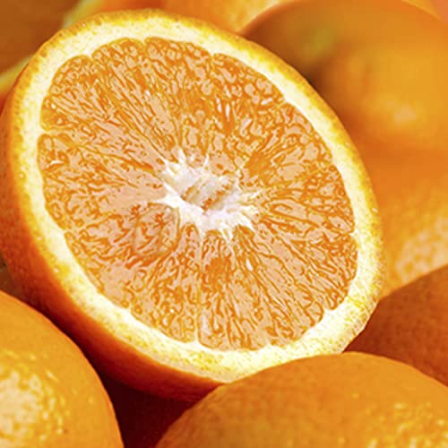 Golden State Fruit Fruitful Trio Deluxe Gift