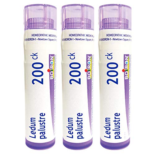 Boiron Ledum Palustre 200ck Homeopathic Medicine for Insect Bites or Bruising - 80 Count (Pack of 3)