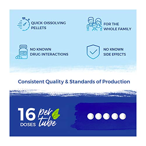 Boiron Ledum Palustre 200ck Homeopathic Medicine for Insect Bites or Bruising - 80 Count (Pack of 3)