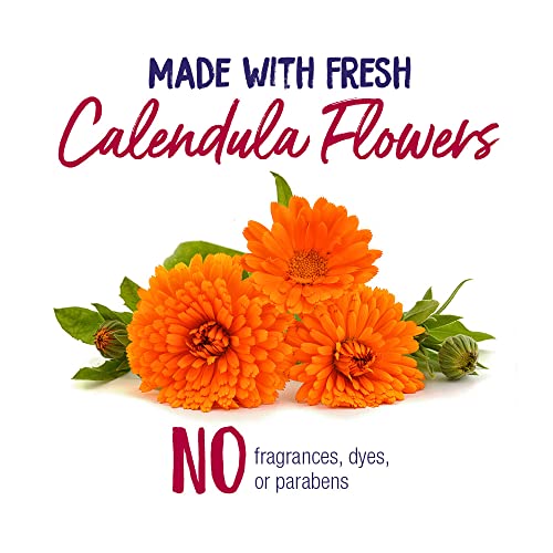 Boiron Calendula Gel for Relief from Rashes, Razor Burn, Insect Bites, or Sunburns - Non-Greasy and Fragrance-Free - 1.5 oz