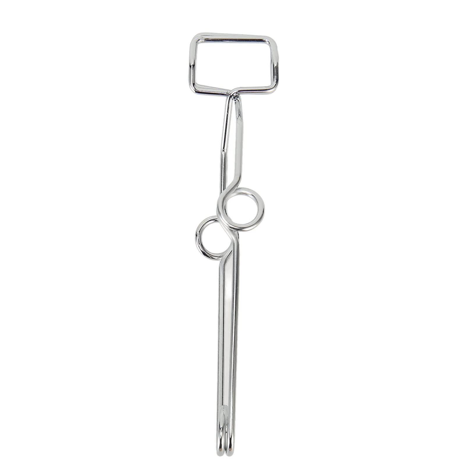 10PCS Spring Test Tube Holders Stainless Steel Clip Clamp, Lab Test Tube Clamp with Finger Grip, Laboratory Experiment Testing Holder Tool for Standard Test Tubes, 14.6cm / 5.7inch