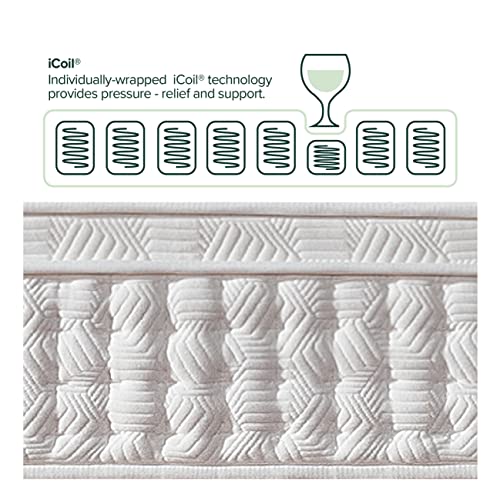 ZINUS 12 Inch Euro Top Pocket Spring Hybrid Mattress / Pressure Relief / Pocket Innersprings for Motion Isolation / Bed-in-a-Box, Queen