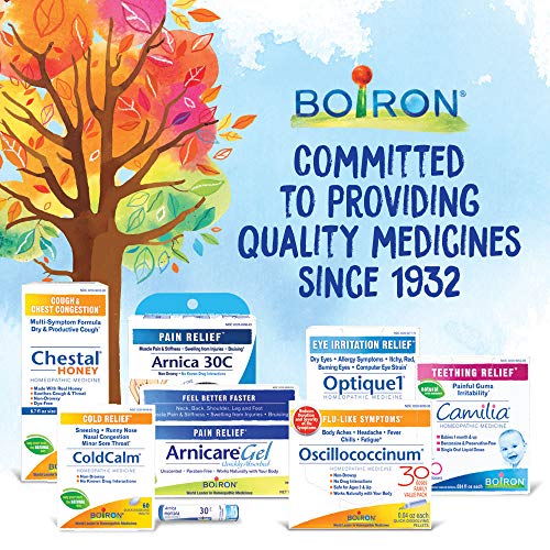 Boiron Camphora 30c Homeopathic Medicine for Onset of Common Cold - Pack of 3 (240 Pellets)