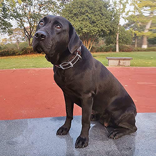 DAIHAQIKO Dog Collar,Leather Dog Collar Classic Heavy Duty Dog Collar Genuine Leather Collar, Soft and Durable for Small, Medium, Large, Extra Large Breed Dogs