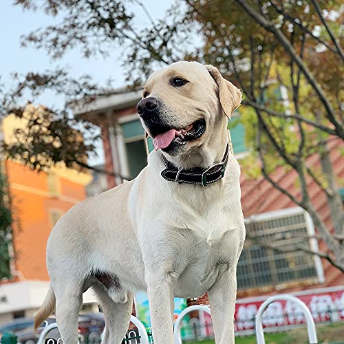 DAIHAQIKO Dog Collar,Leather Dog Collar Classic Heavy Duty Dog Collar Genuine Leather Collar, Soft and Durable for Small, Medium, Large, Extra Large Breed Dogs