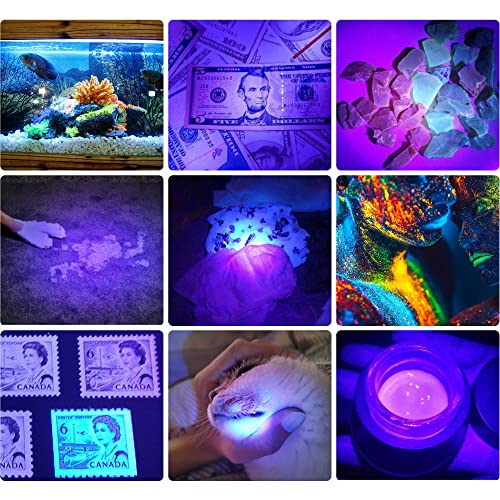 DARKBEAM UV Light Rechargeable USB Flashlight 395nm Blacklight Ultraviolet Wood's Lamp LED Portable Mini Handheld Pocket Torch Detector for Dog Urine Pet Stains Anti-counterfeiting, Resin Curing