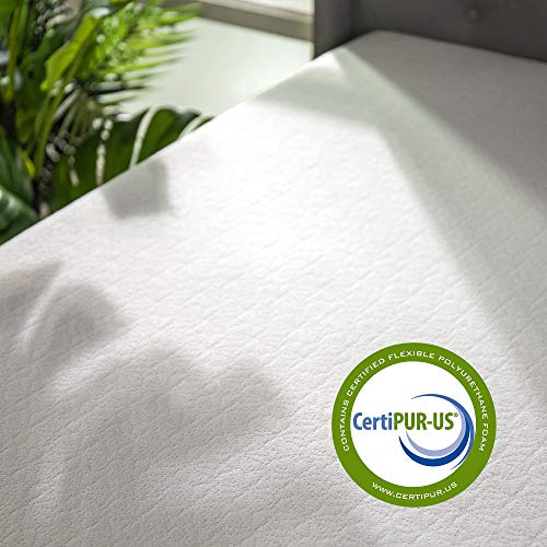ZINUS Lottie Upholstered Platform Bed Frame, Grey, Twin & 10 Inch Green Tea Memory Foam Mattress / CertiPUR-US Certified / Bed-in-a-Box / Pressure Relieving, Twin