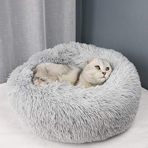 BODISEINT Modern Soft Plush Round Pet Bed for Cats or Small Dogs, Mini Medium Sized Dog Cat Bed Self Warming Autumn Winter Indoor Snooze Sleeping Cozy Kitty Teddy Kennel (24'' D x 8'' H, Light Grey)