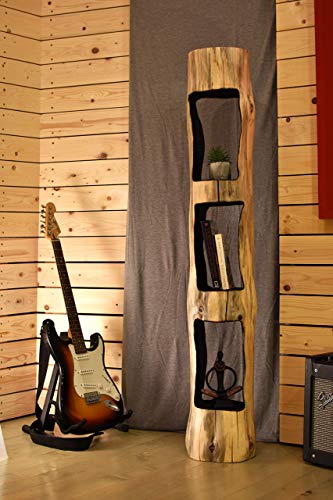 Book Case, Wooden Book Shelf, Dorm Stand, Rustic Book Stand