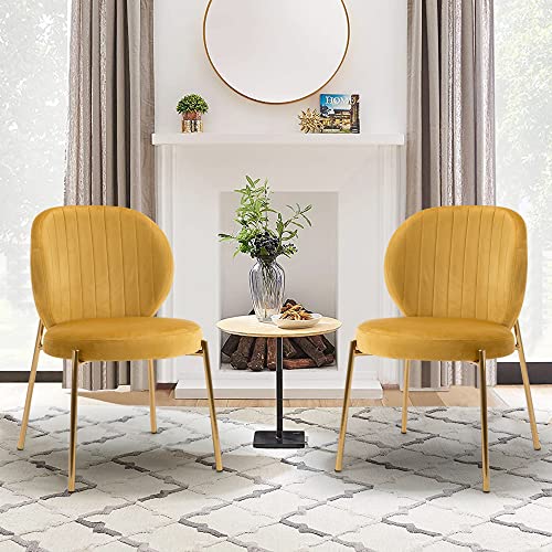 DAGONHIL Velvet Dining Chair,Upholstered Vanity Chairs with Golden Metal Leg,Set of 4(Yellow)