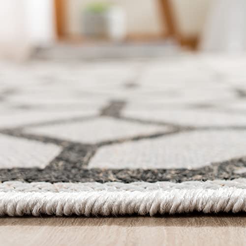SAFAVIEH Linden Collection 8' x 10' Light Grey/Charcoal LND127A Geometric Indoor/ Outdoor Non-Shedding Easy scrubbing Patio Backyard Porch Deck Mudroom Area-Rug