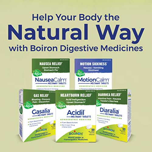 Boiron Acidil On The Go for Relief of Acid Reflux, Heartburn, Indigestion, Bloating, and Upset Stomach - 2 Count (160 Pellets)