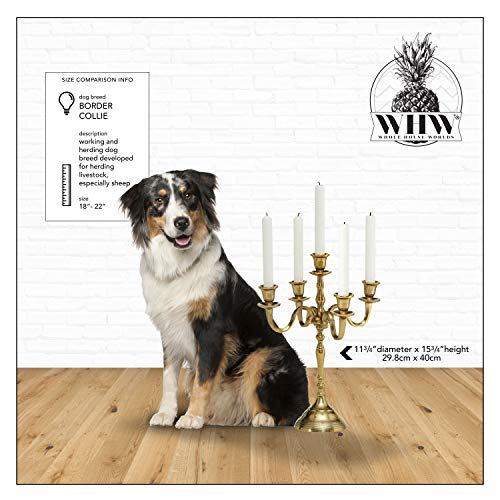 WHW Whole House Worlds Hamptons Five Candle Golden Candelabra, Hand Crafted of Cast Aluminum Nickel, Over 1 FT (15.75 Inches)